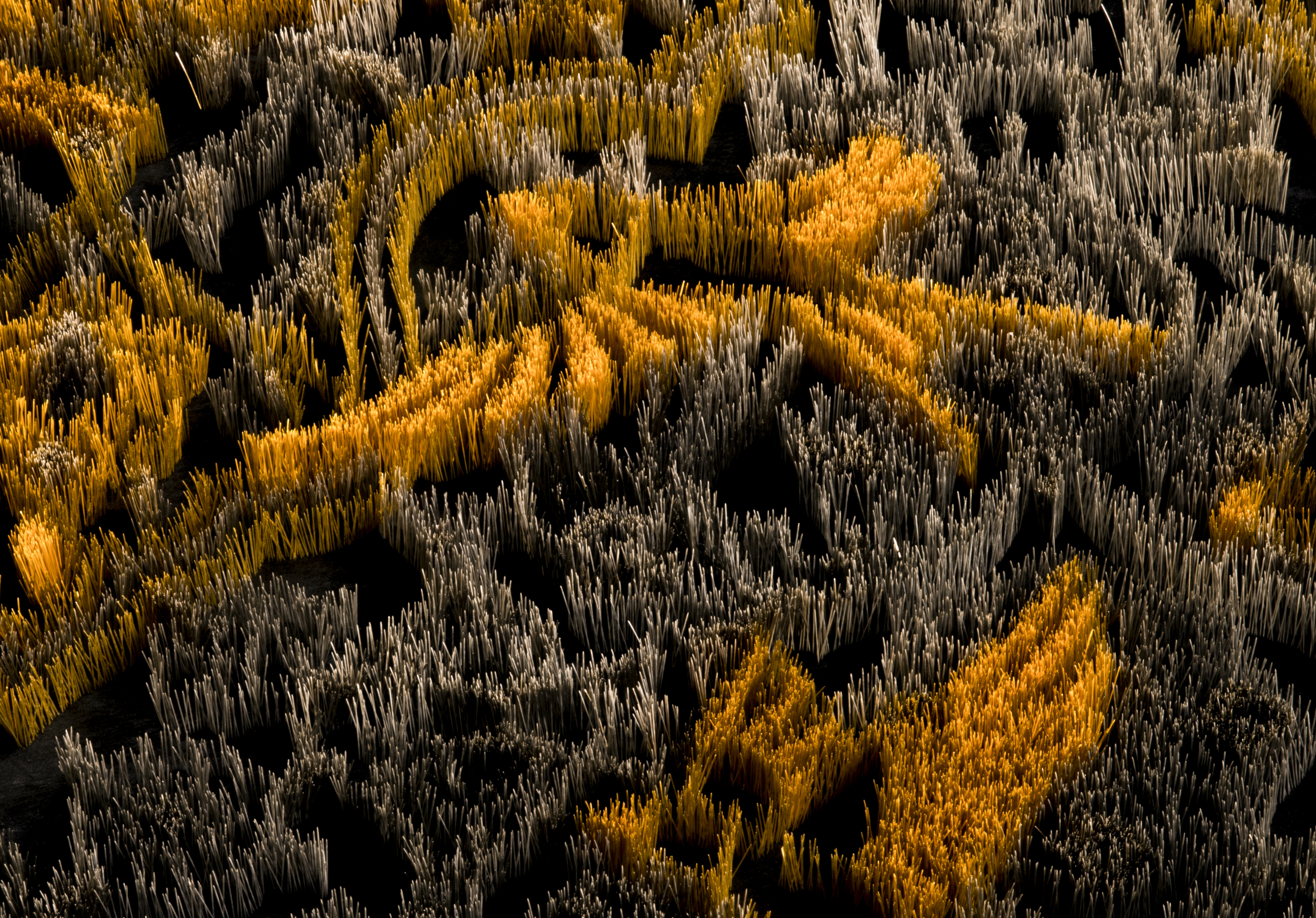 In the Galleries: Four Art and Design Exhibitions To See in Aotearoa New Zealand in May